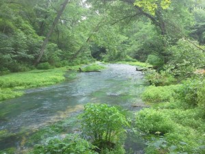By Boat or by Boot. Pulltite Spring, Ozark National Scenic Riverways 7 ...